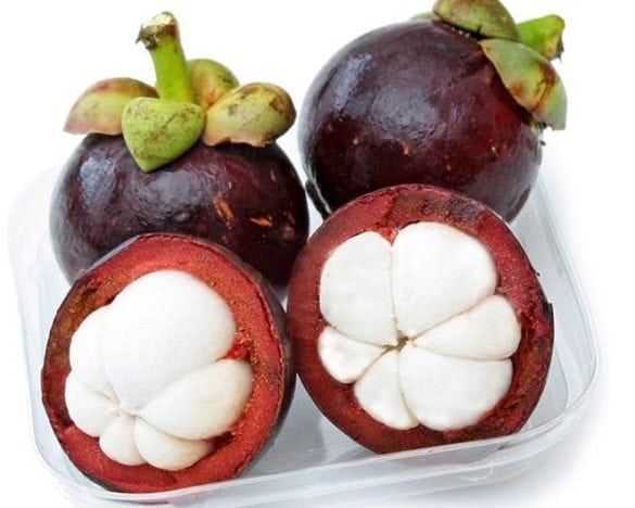 Die Mangostane — Ting Ting's Nest